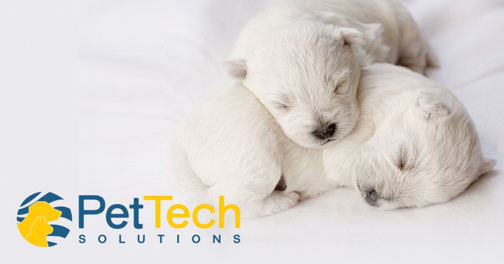 Accueil | PetTech